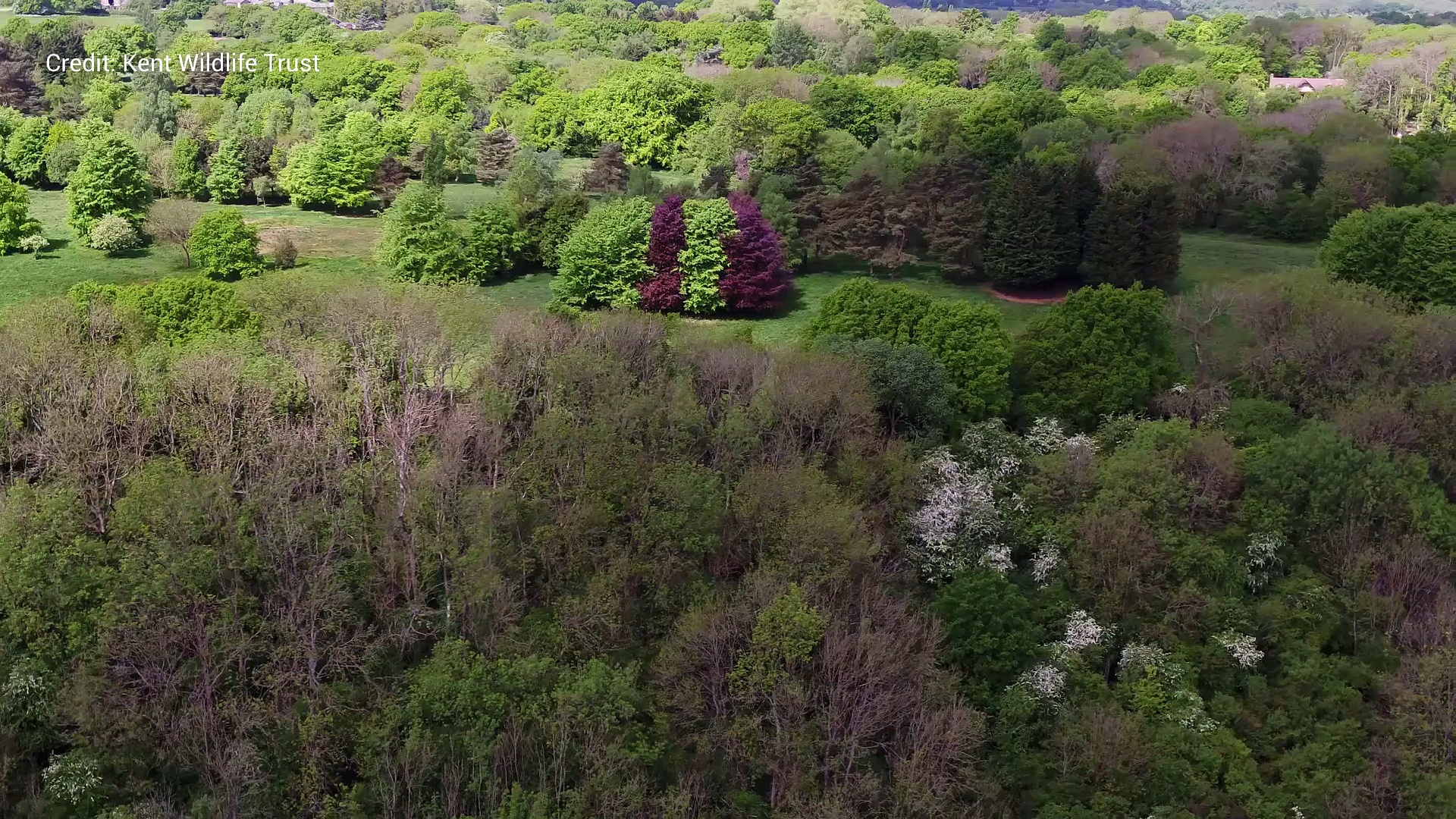 Abandoned golf course becomes nature haven