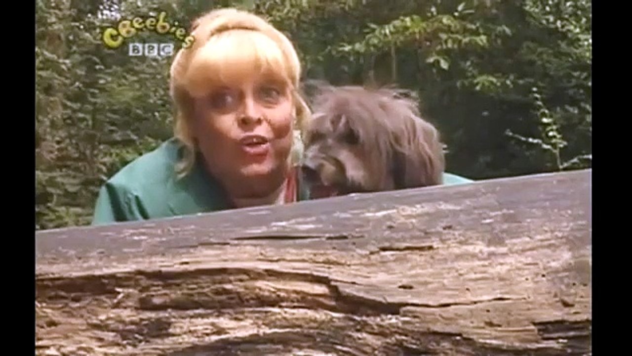 Cbeebies Come Outside USEFUL HOLES - video Dailymotion