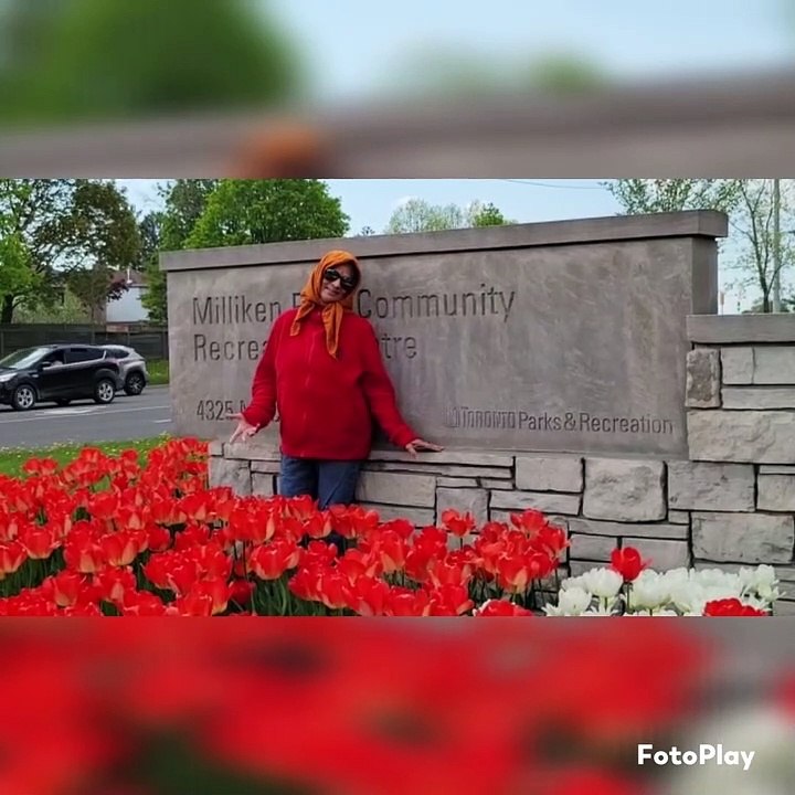 Lal Chadi Maidan khadi by Chitralekha Dixit - video Dailymotion