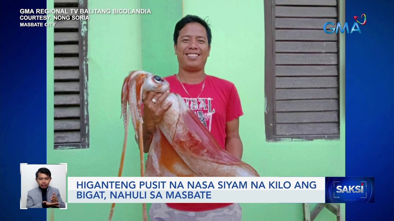 Higanteng pusit na nasa siyam na kilo ang bigat, nahuli sa Masbate | Saksi - video Dailymotion