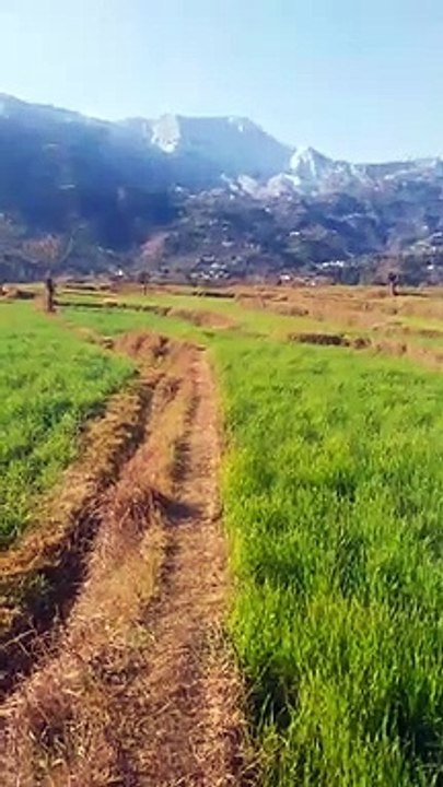 Winter season cold and cold - video Dailymotion