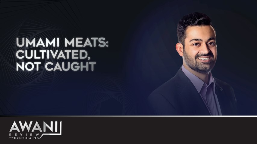 AWANI Review: Umami Meats | Cultivated, Not Caught | Astro Awani