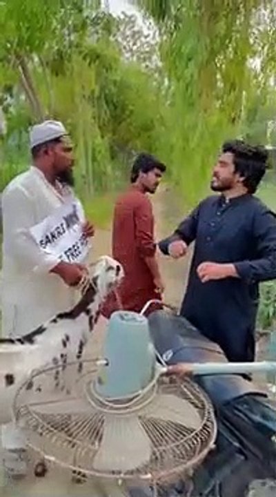 Free_Ki_Bakri_Le_Kay_Phans_Gaya_(240p) - video Dailymotion