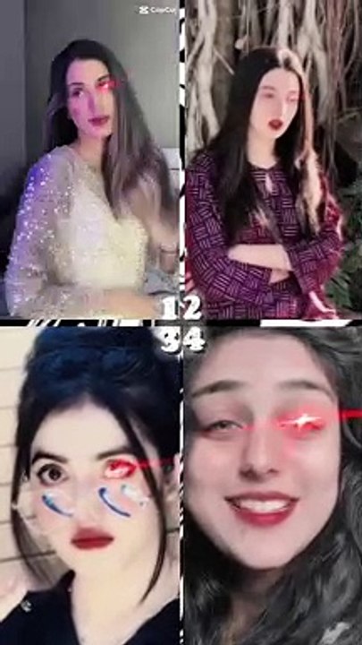 Famous tiktokers videos in one song - video Dailymotion