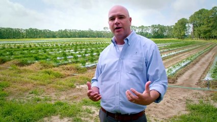 Super Factories by MediaEntertainment - Dailymotion