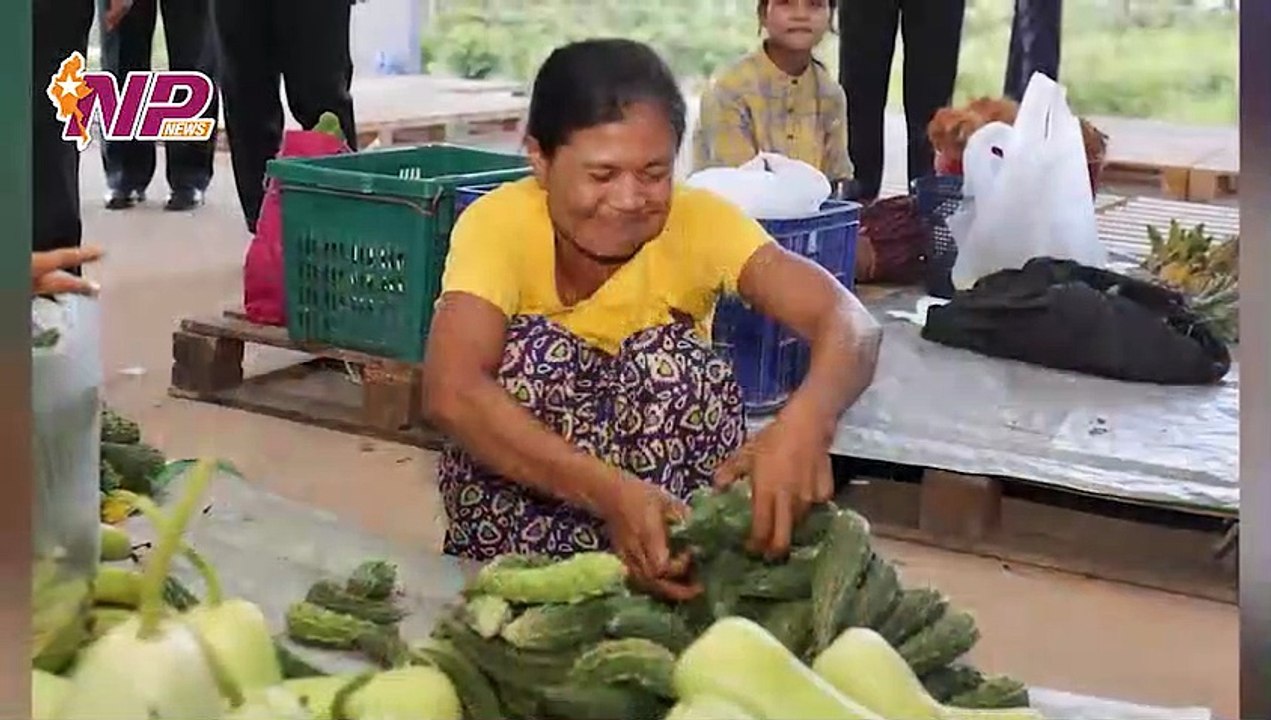 ညောင်နှစ်ပင်စိုက်ပျိုးမွေးမြူရေးအထူးဇုန်ရှိ ခွင့်ပြုမြေများနဲ့ပတ်သက်ပြီး နစကဥက္ကဋ္ မှာကြား