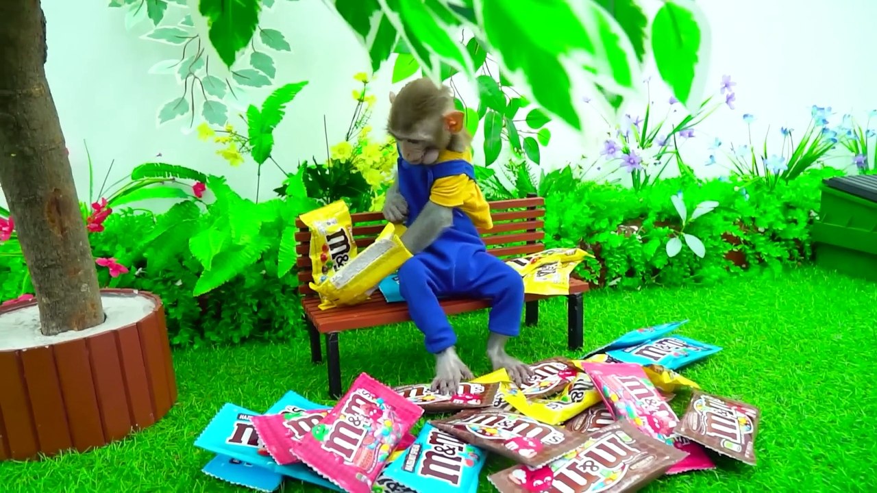 Baby Monkey KiKi do teeth brush in the toilet & play with ducklings by ...