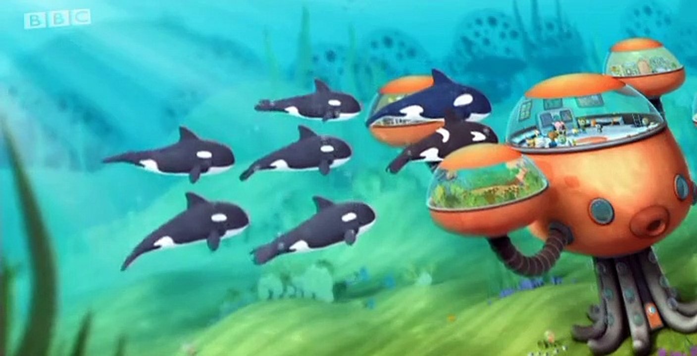 The Octonauts The Octonauts S01 E007 – The Orcas - video Dailymotion