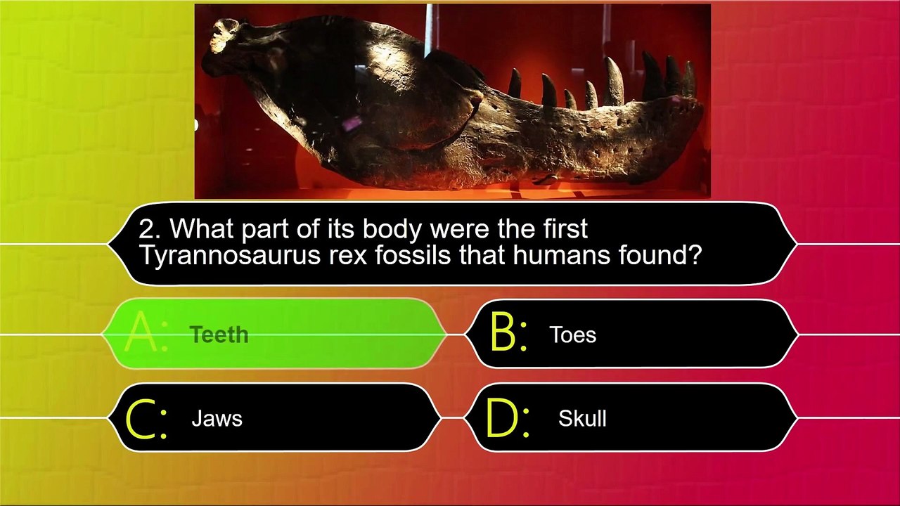 Tyrannosaurus Rex (T-Rex) Quiz and Trivia - video Dailymotion