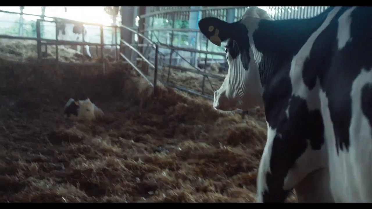 Cow Bande-annonce (UK) - Vidéo Dailymotion