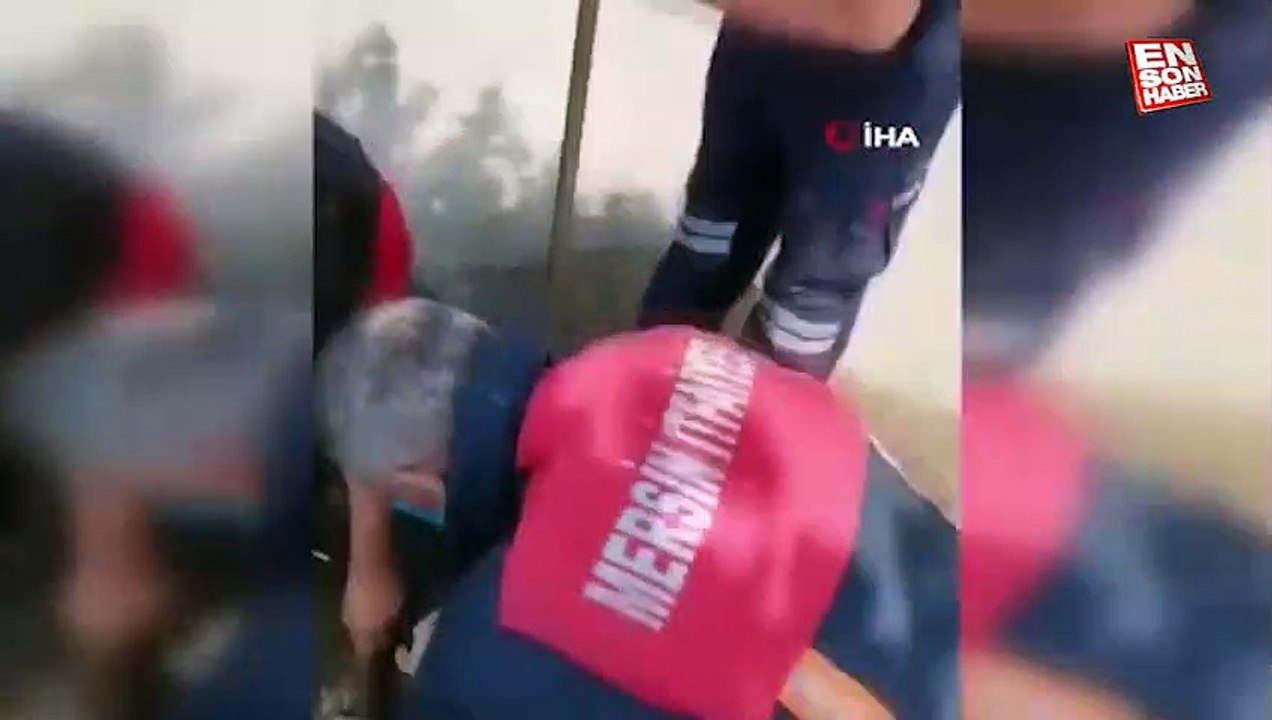 Mersin’de balık ağına takılan yılan itfaiye ekiplerince kurtarıldı - Dailymotion Video
