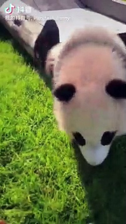 When you drunk in the party be like - video Dailymotion