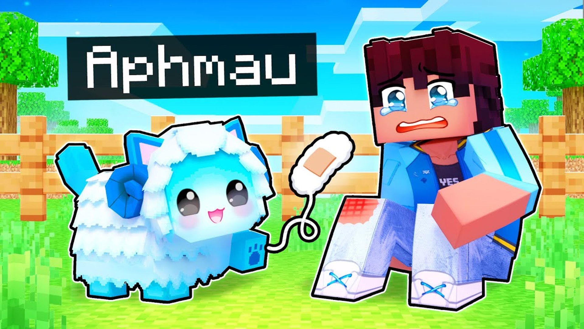 Minecraft Baby Cat My 7 Year Old Baby Girl Cat (name Princess Laya)