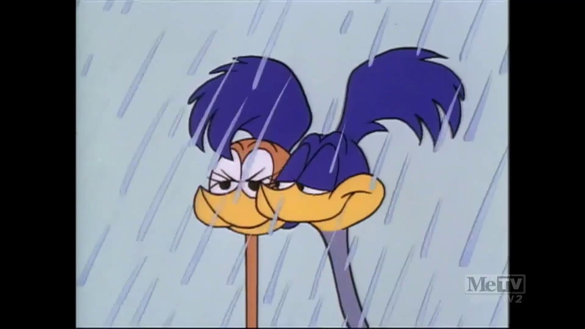 Road Runner Cartoon Running