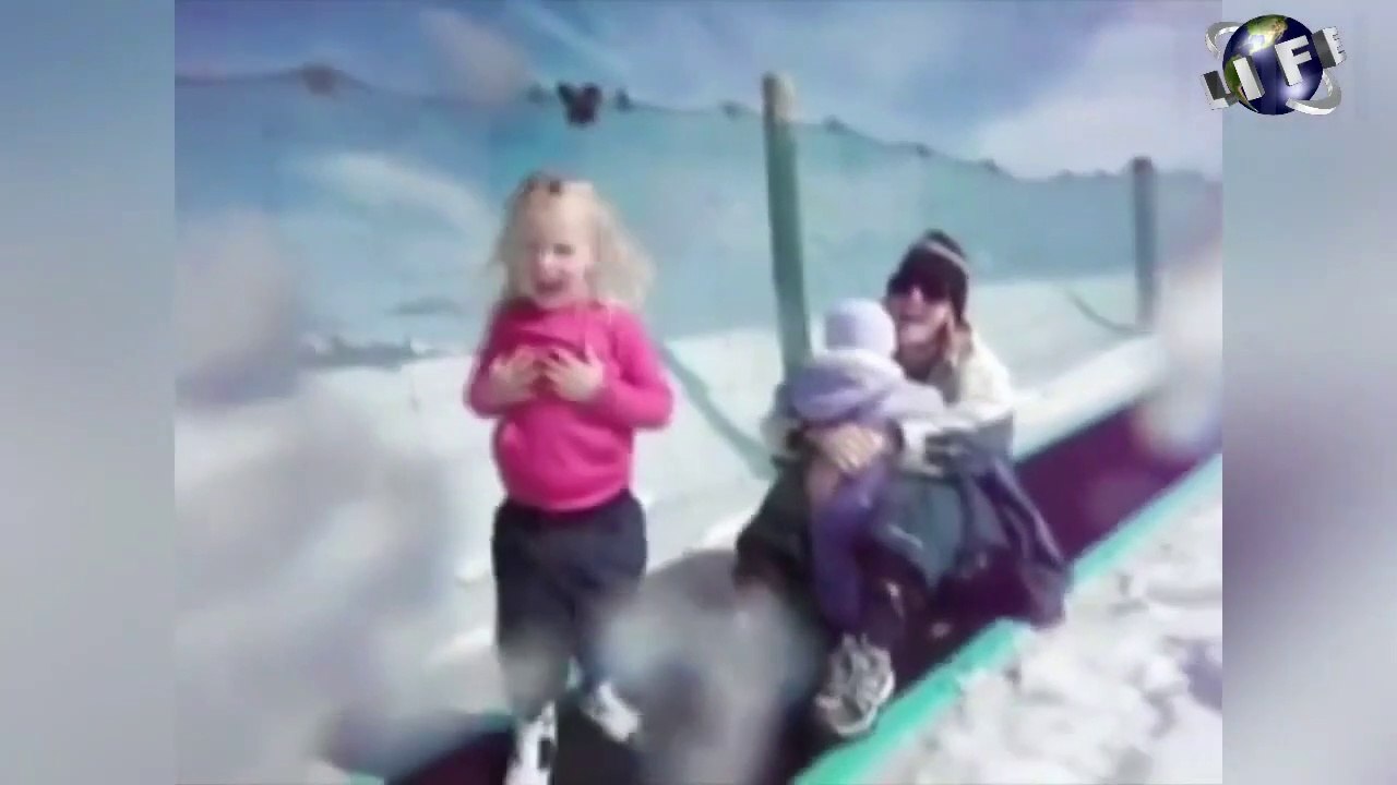 Funny Snow Fails Part 2 - Best Fails Compilation - Vidéo Dailymotion