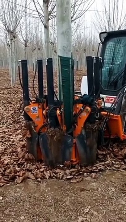 Innovation, trees shifting machine #shorts #viral #shortsvideo #video # ...