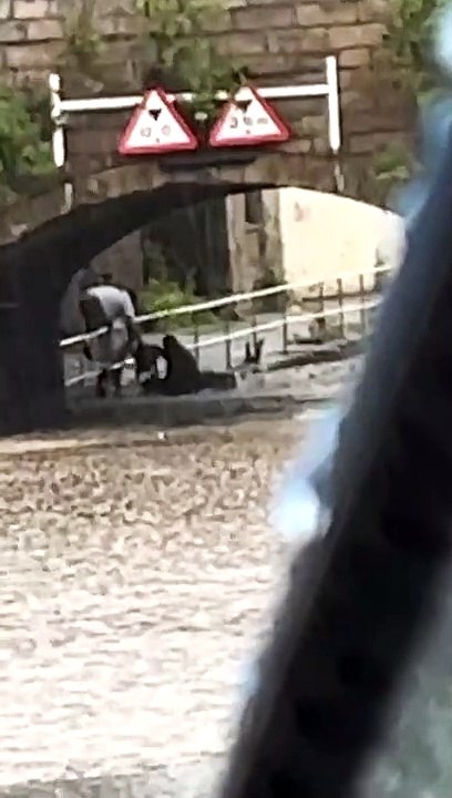 Moment elderly man is rescued from sinking car by passers-by who ...
