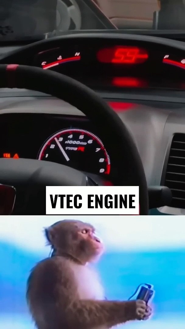 Vtec Memes