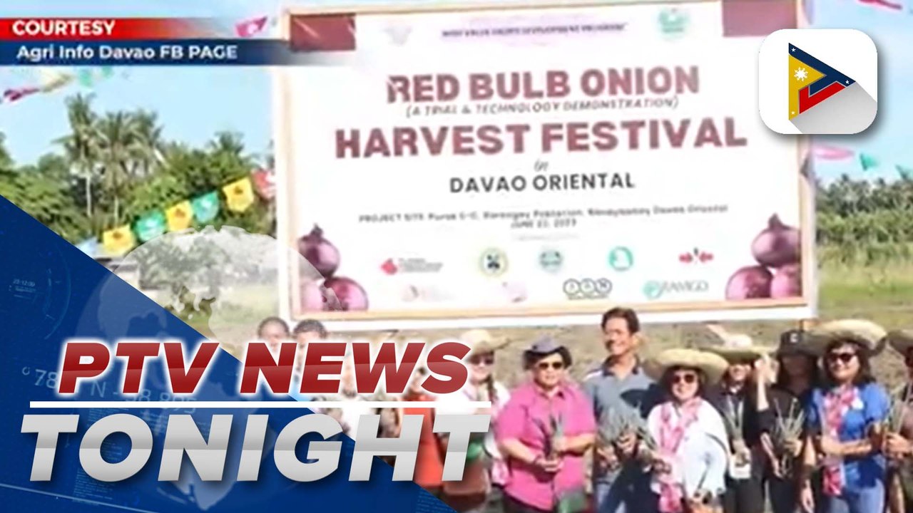 Banaybanay LGU holds first-ever Red Bulb Onion Harvest Festival in ...