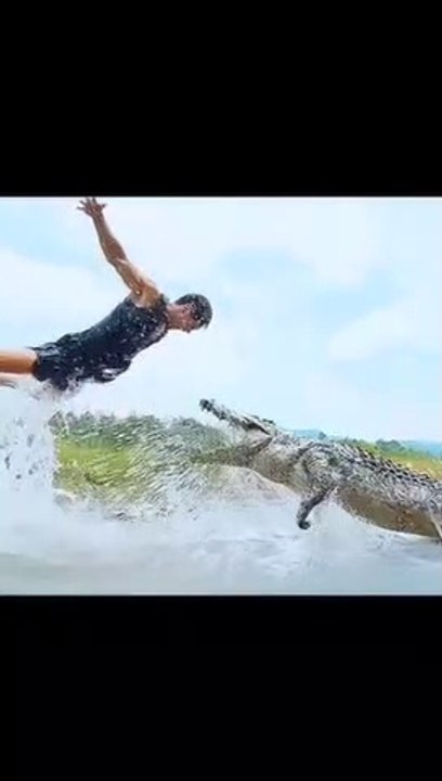 Superhit Movie Fight Scenes - video Dailymotion