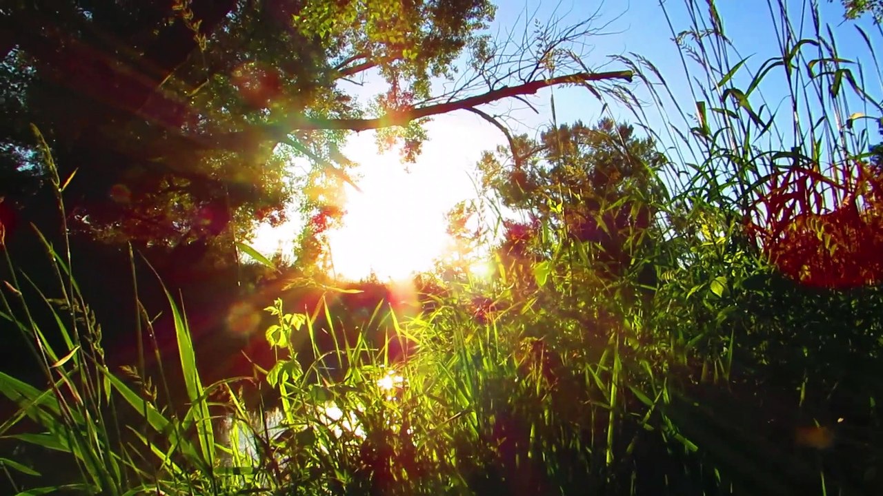 Crossing the bridge of Sirat | Pul Sirat py qiyamat ka manzar Part 3 ...