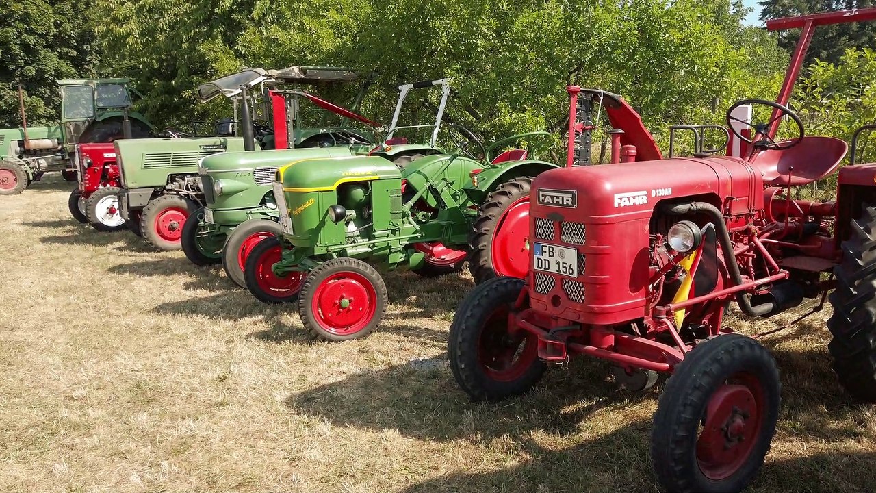 Tractor-Oldtimer-Meeting 2023 in Wenings, Hesse, Germany and a merry ...