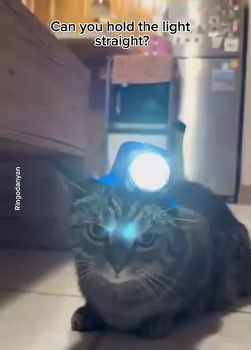 My bad chief - video Dailymotion