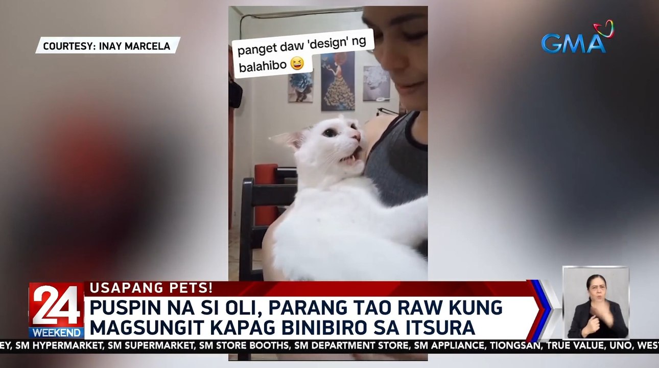 24 Oras Weekend Part 3: Masungit na pusa, dog station sa mall, noontime ...