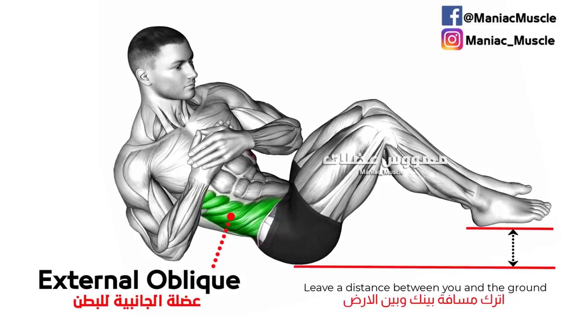 Oblique V Ups