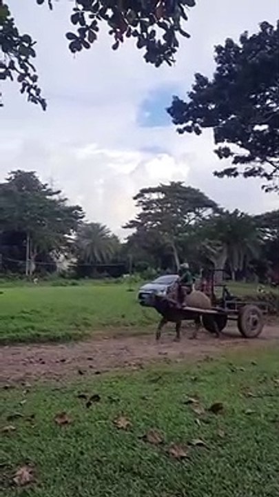 Chapel of Cartwheels, Manapla, Negros Occidental - video Dailymotion