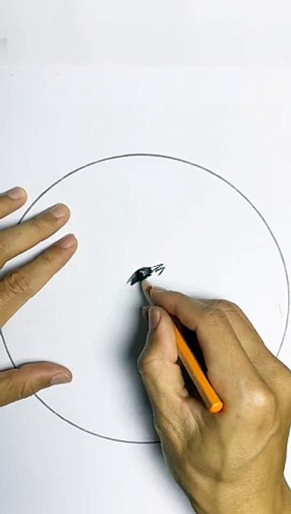 How to draw birds || chirya - video Dailymotion