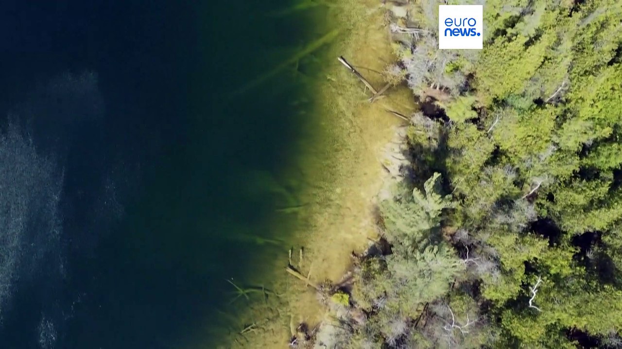 Canada: Small lake near Toronto hailed 'ground zero' of the ...