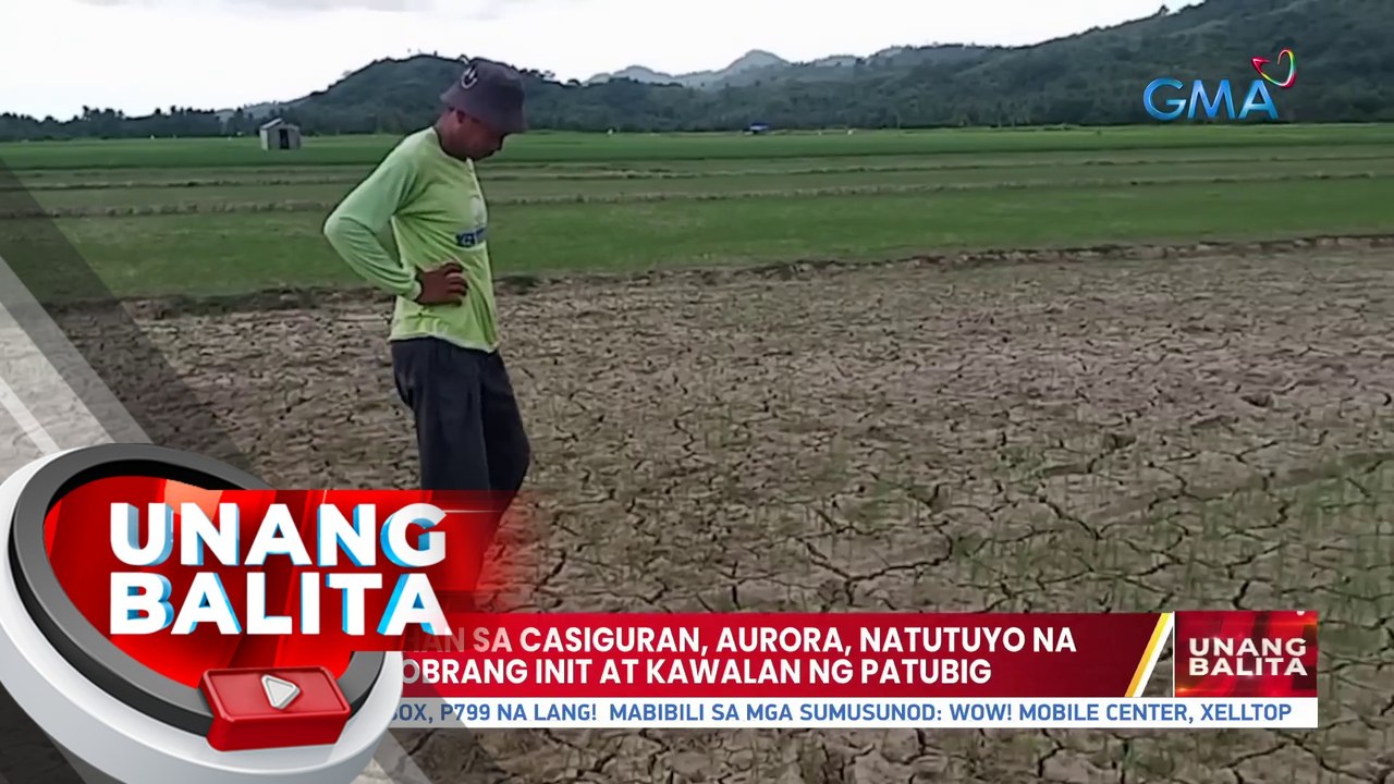 Mga sakahan sa Casiguran, Aurora, natutuyo na dahil sa sobrang init at ...