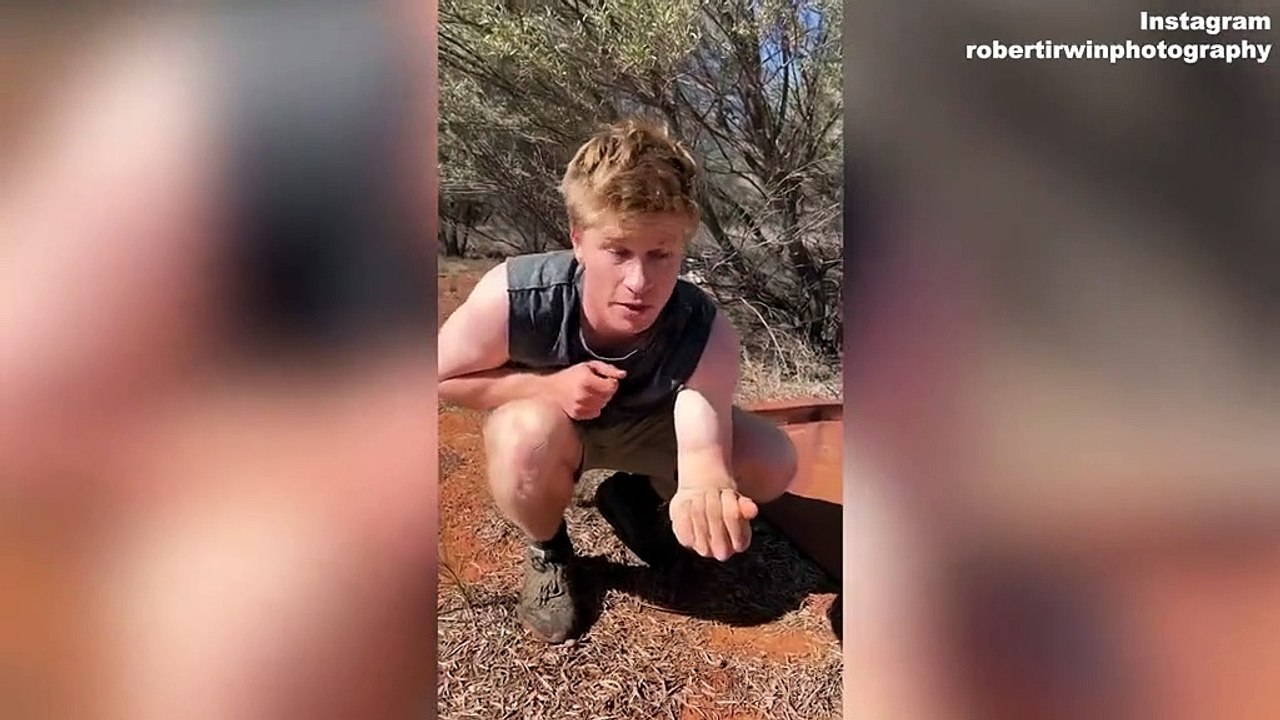 Robert Irwin, 19, sends fans into a frenzy as he flaunts his biceps in ...