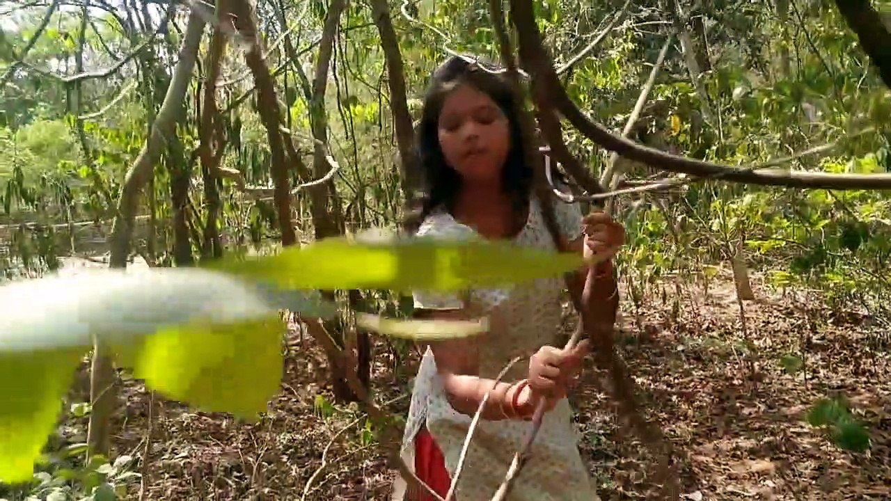 Aaj Ke Liye Jungle Se Lakdi Laye Village Lifestyle Vlog - video Dailymotion