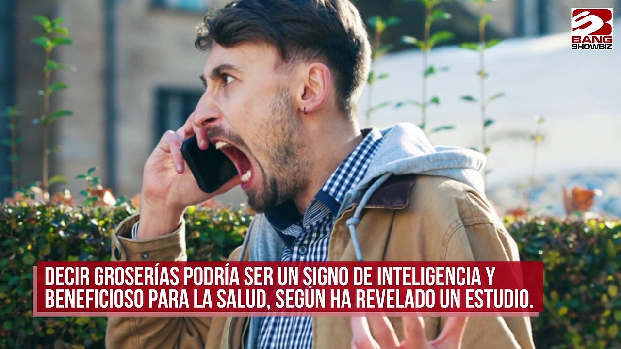 Decir groserías es un signo de inteligencia - Vídeo Dailymotion