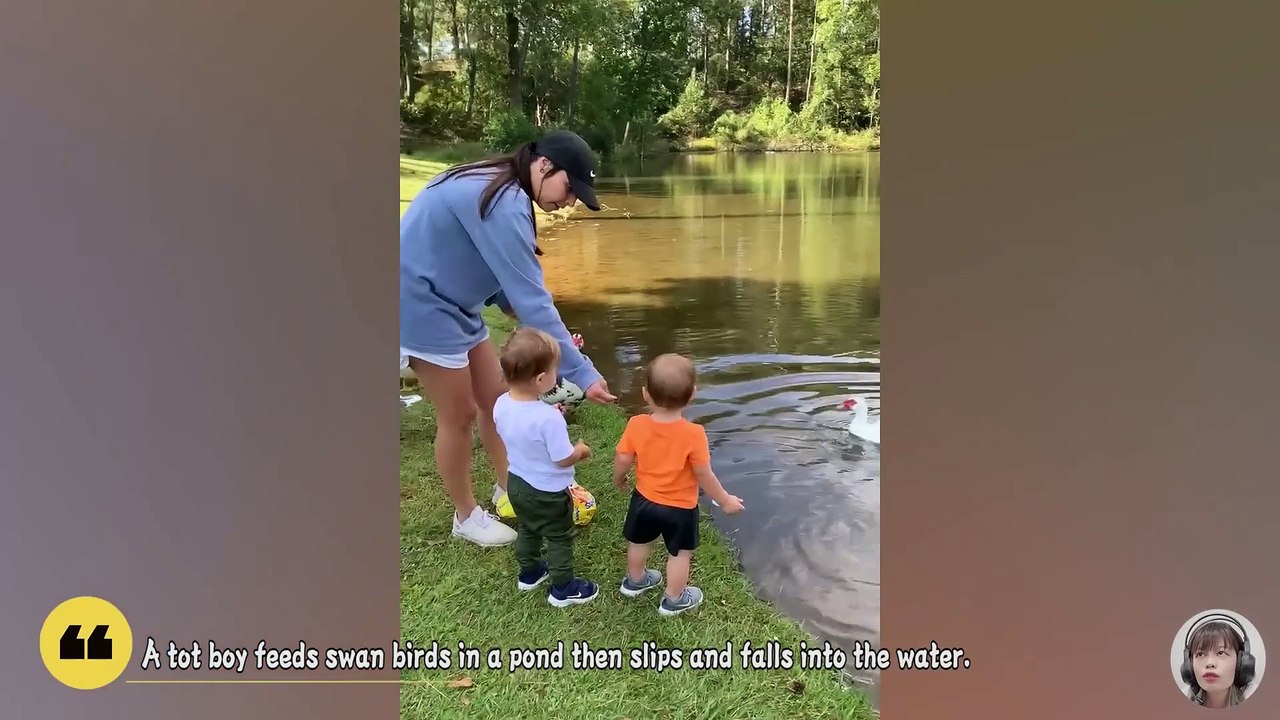 Funny Goose Chasing Babies Compilation __ Just Funniest-(1080p) - video ...