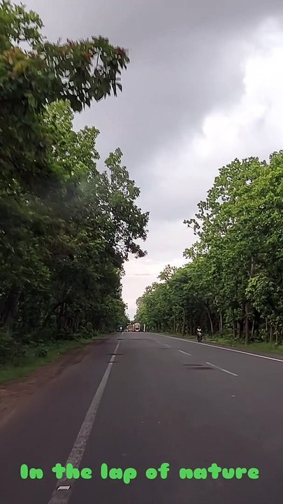 Green path in the lap of nature. - video Dailymotion