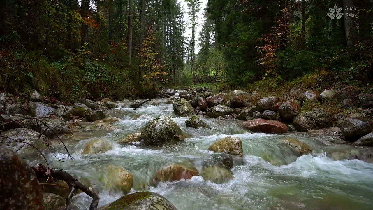 Calming Forest Stream Sounds 1 Hour of Relaxing Nature Ambiance - video ...