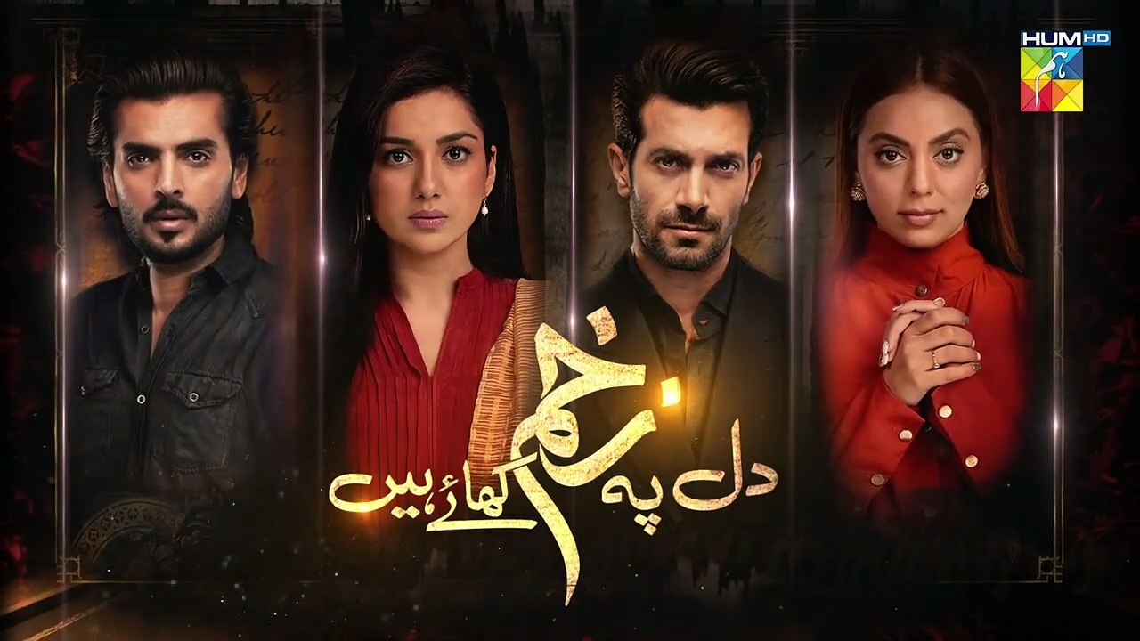 Recap - Dil Pe Zakham Khaye Hain - Episode 23 [ Tuba Anwar & Shahzad Noor ] - 30th July 2023 ...
