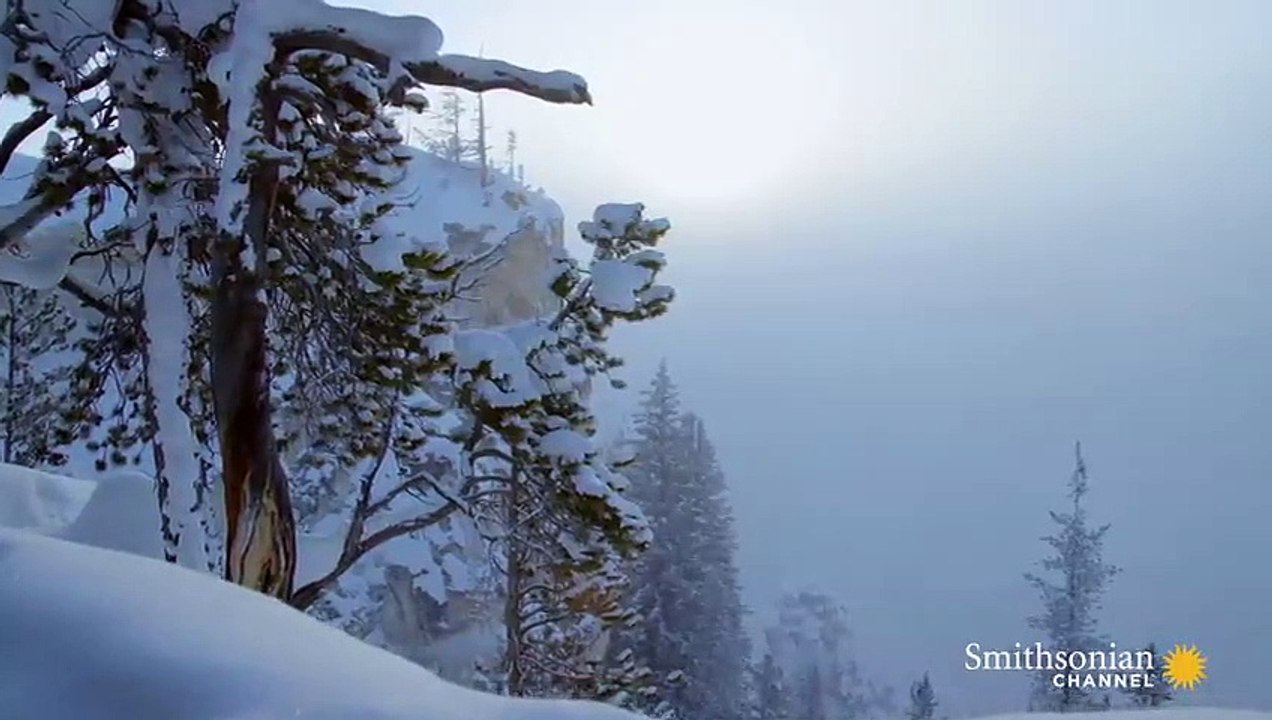 Freezing Cold Air Creates ‘Diamond Dust’ ️ Epic Yellowstone Smithsonian ...
