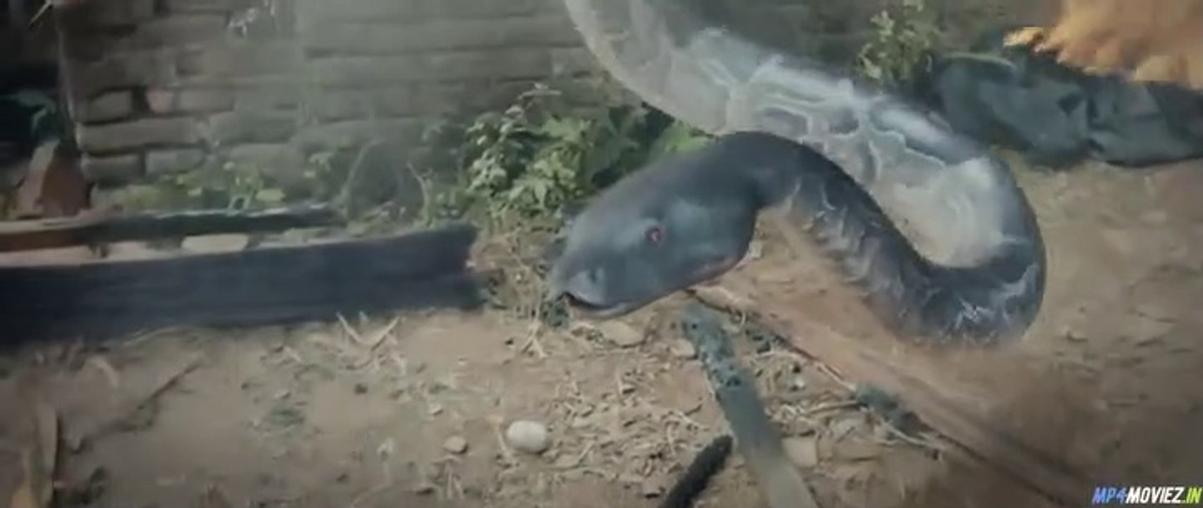 The-Monty-Python-(2023) Action | Adventure| Fantasy| Horror|Chinese ...