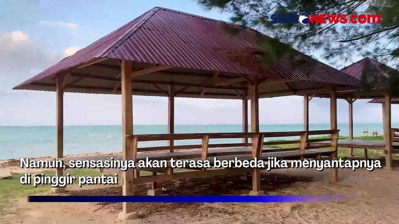 Sensasi Tak Terlupa, Makan Sate Pokea Berbahan Kerang di Pantai Toronipa - Video Dailymotion