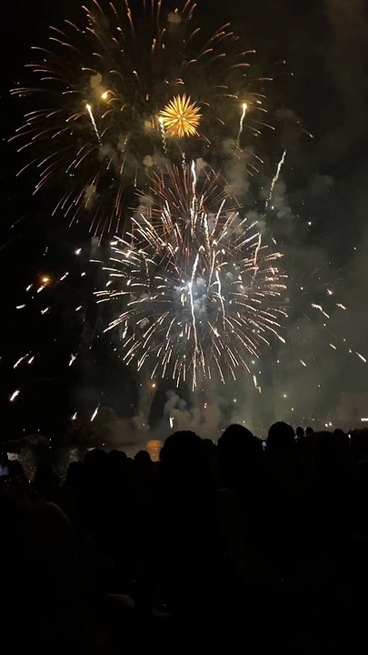 Fireworks Fail And Fall Into Audience - video Dailymotion