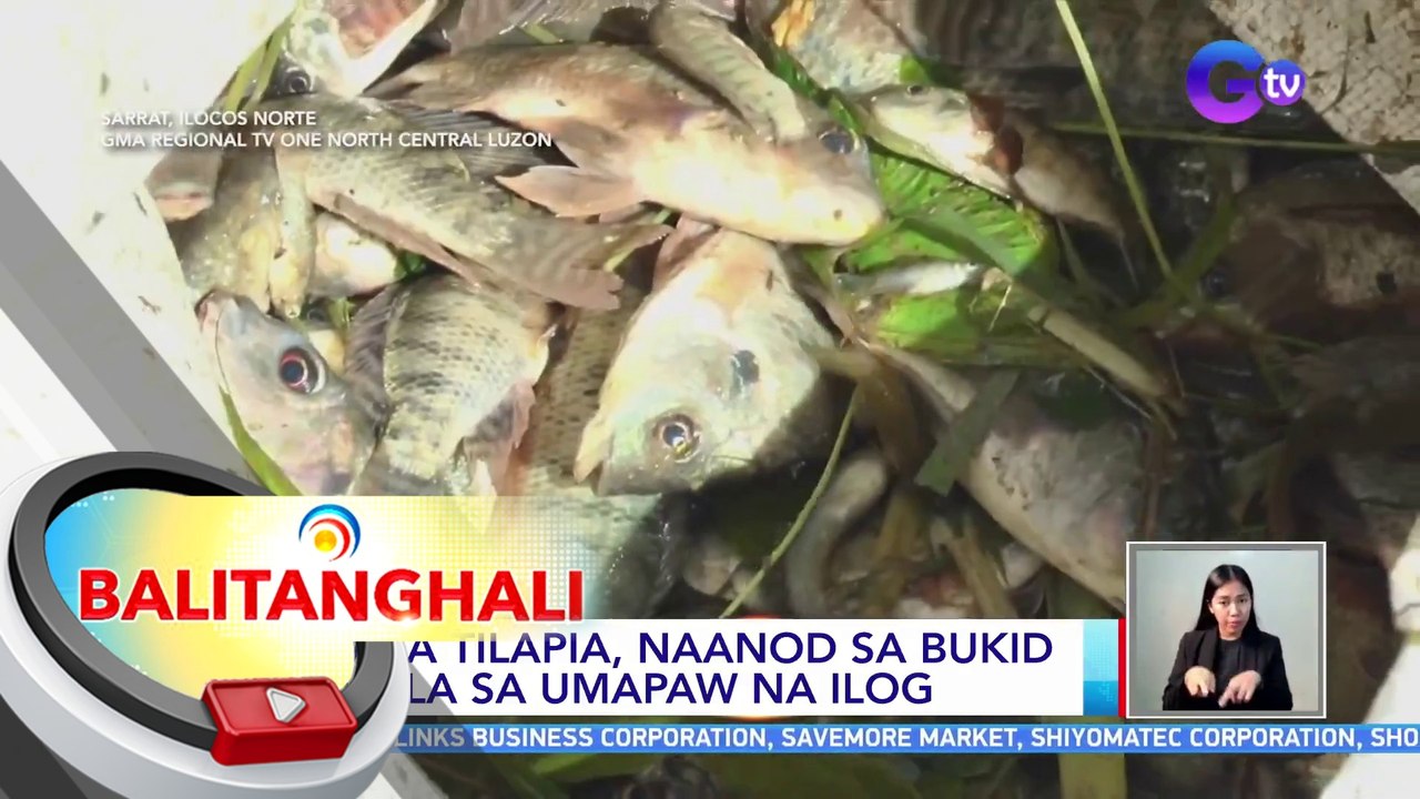 Mga tilapia, naanod sa bukid mula sa umapaw na ilog | BT - video ...