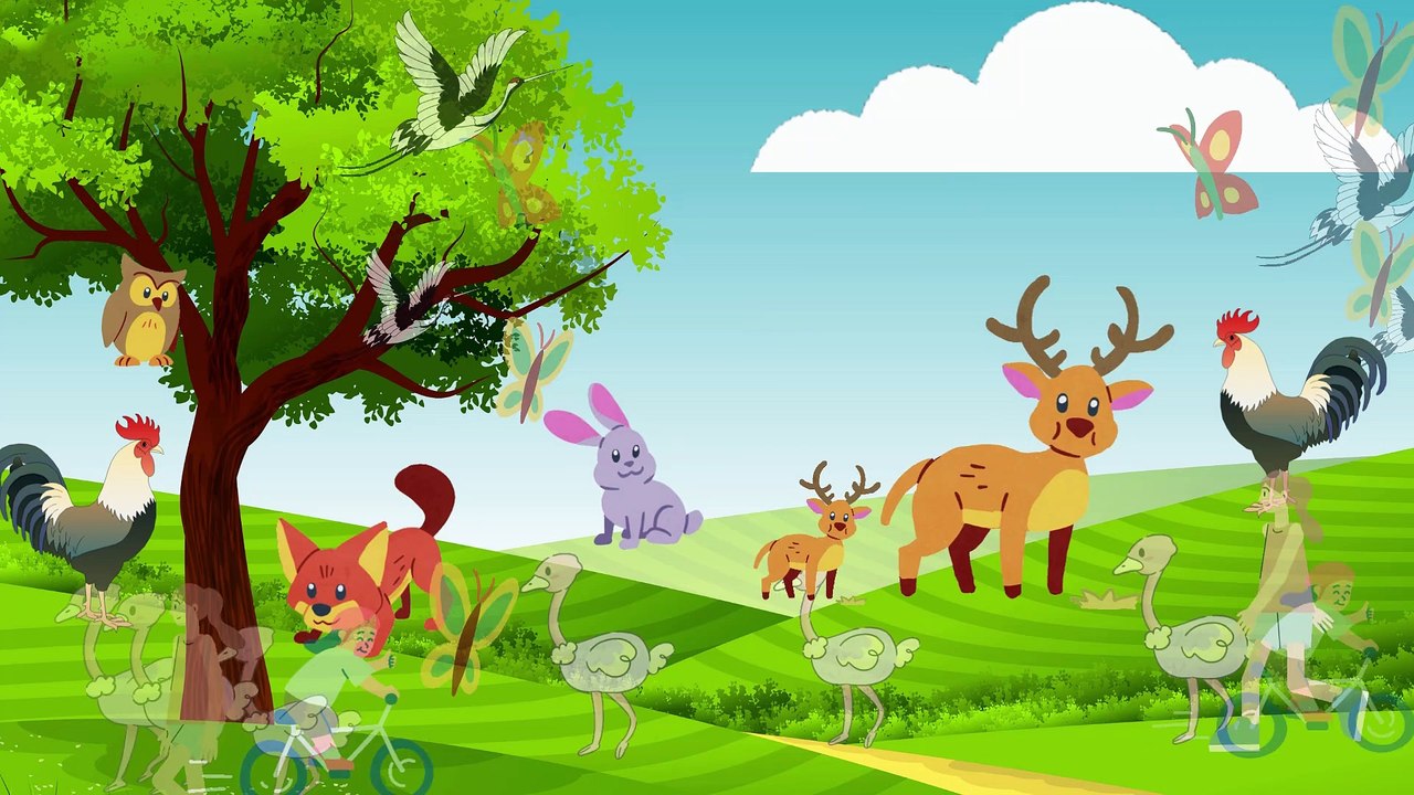 Video animasi ,padang rumput - hewan hewan - Video Dailymotion