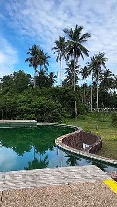 Club Agutaya, San Vicente, Palawan - video Dailymotion