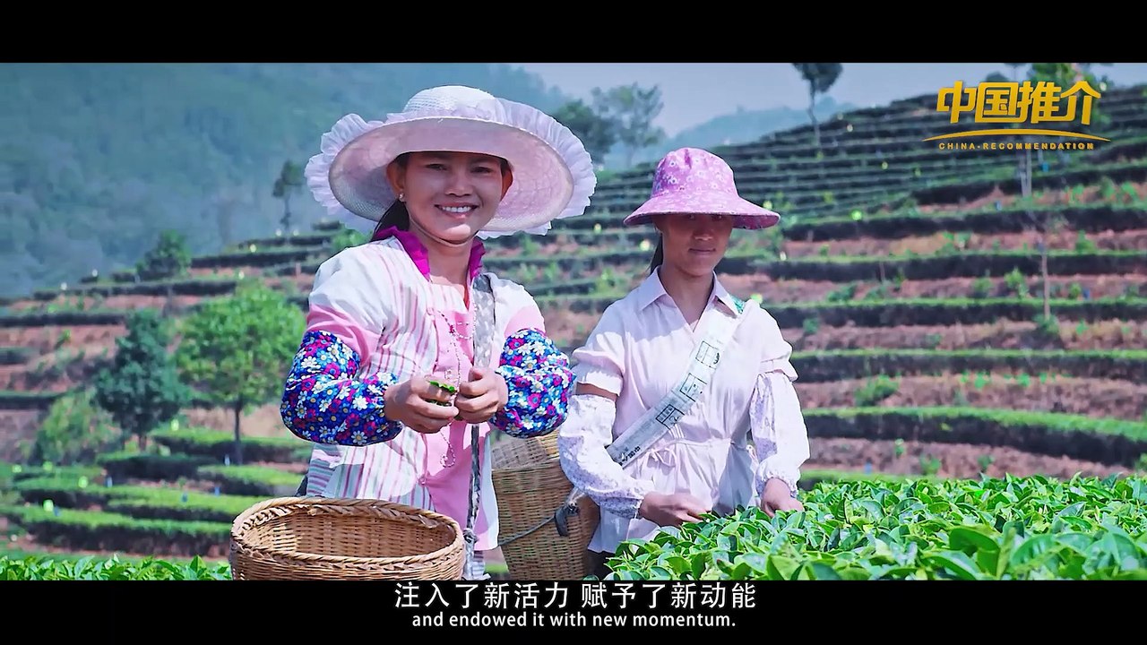《中国推介》云南思茅区：世界茶源 咖啡之都China Recommendation Simao District Yunnan：World ...