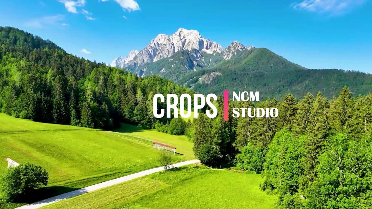 Crops - Telecasted Rock Music, Inspirational Music, Hope Music, Chill ...
