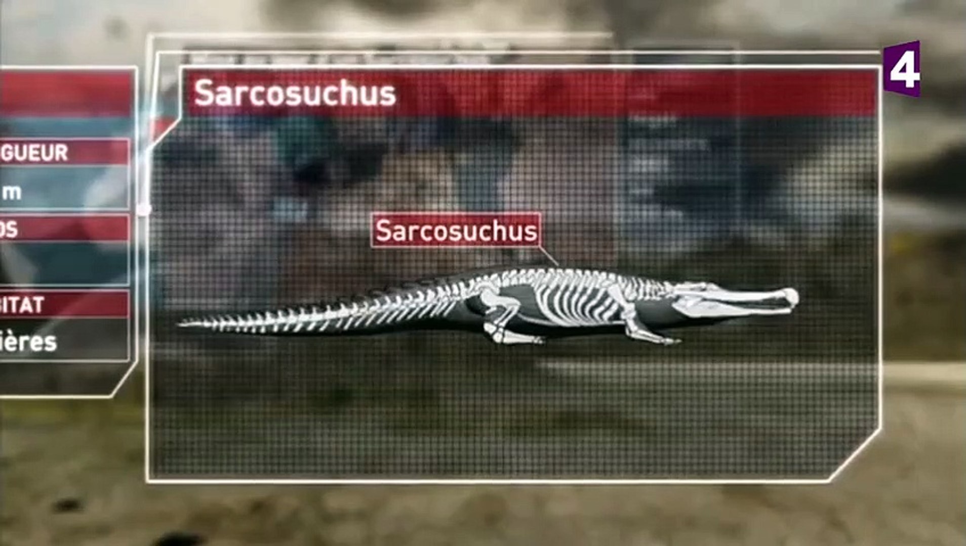 Sarcosuchus Size Comparison Rheic 1/35 Sarcosuchus Model – Lana Time